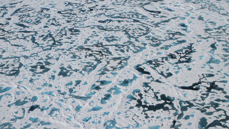 Landsat 8 Views Striking Patterns of Blue and Green in the Chukchi Sea