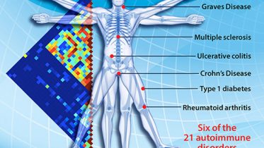 Continuing To Increase – Autoimmune Diseases Now Affect Over 10% of the ...