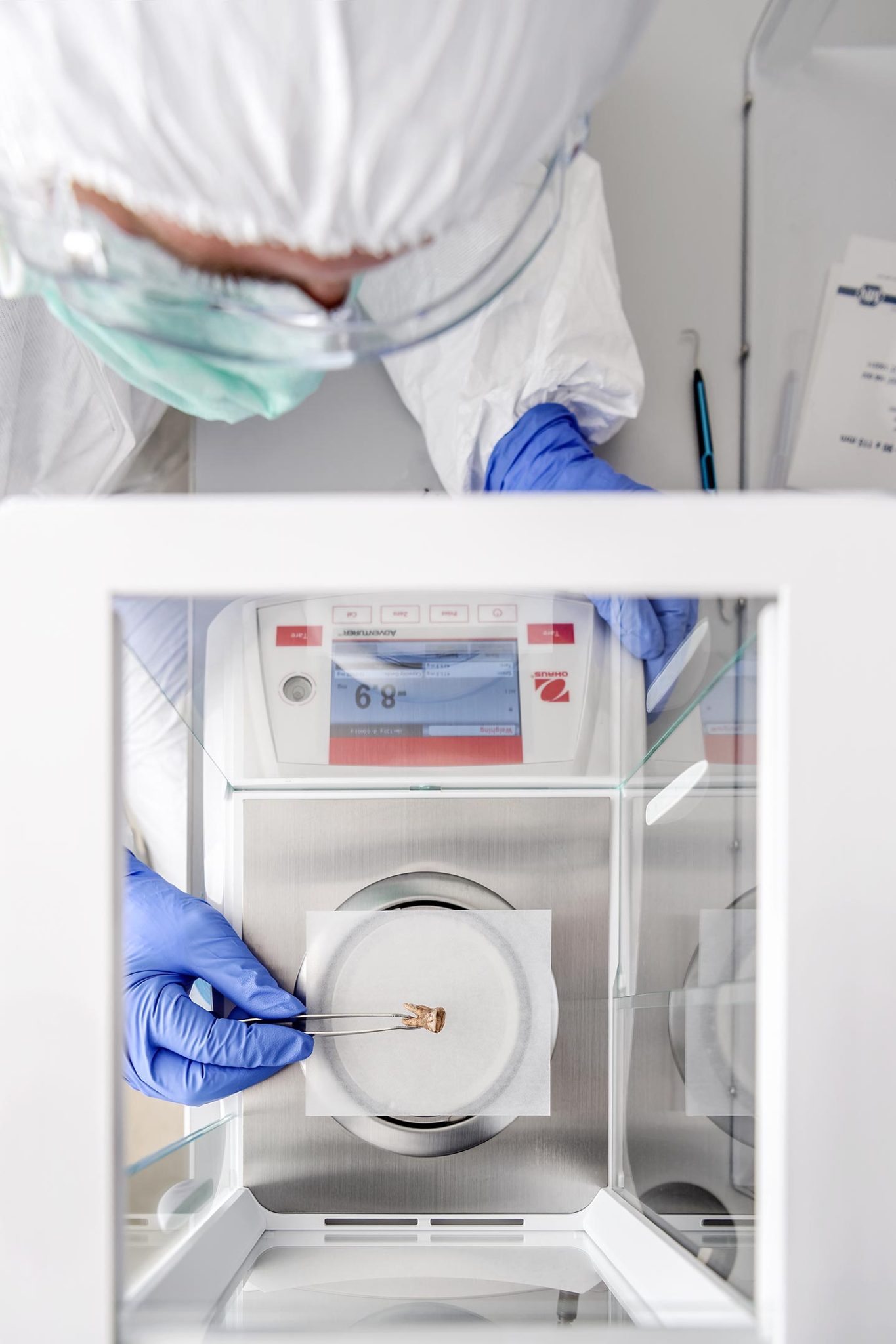 Scientists “Revive” Stone Age Molecules From Ancient DNA