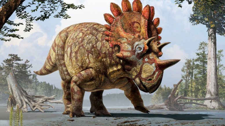 Scientists Reveal a New Species of Dinosaur