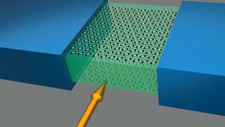 Hail to the Squid – New Species of Extinct Vampire-Squid-Like ...