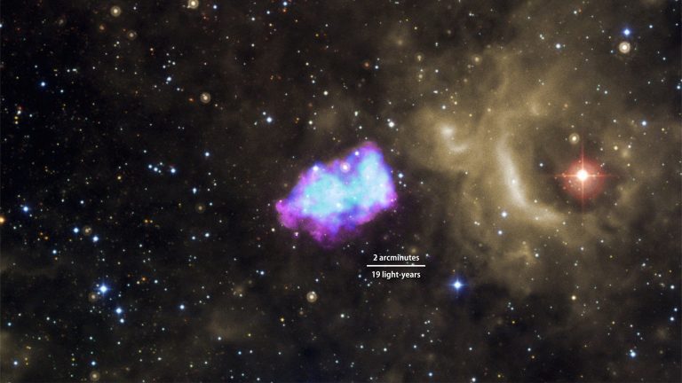 Suzaku X-ray Satellite Reveals Pre-Explosion Mass of a White Dwarf Star