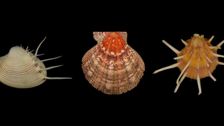 Artificial Intelligence Discovers Surprising Patterns in Earth’s ...