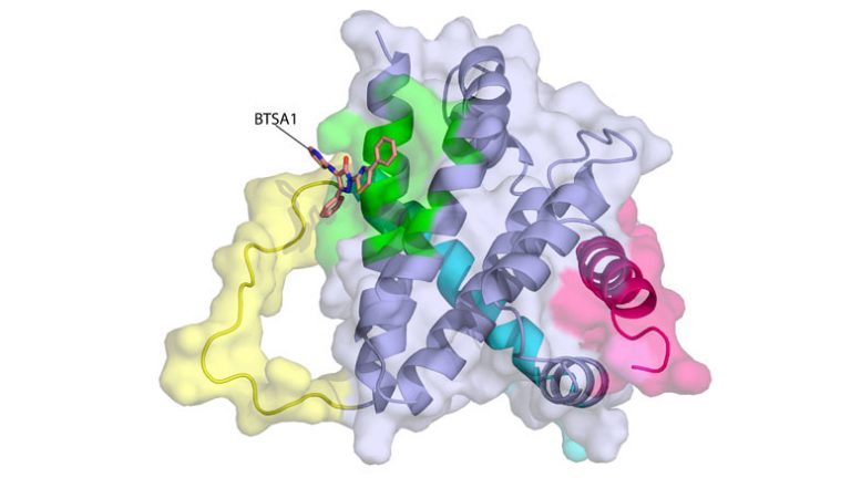 New Compound Makes Cancer Cells Self-Destruct
