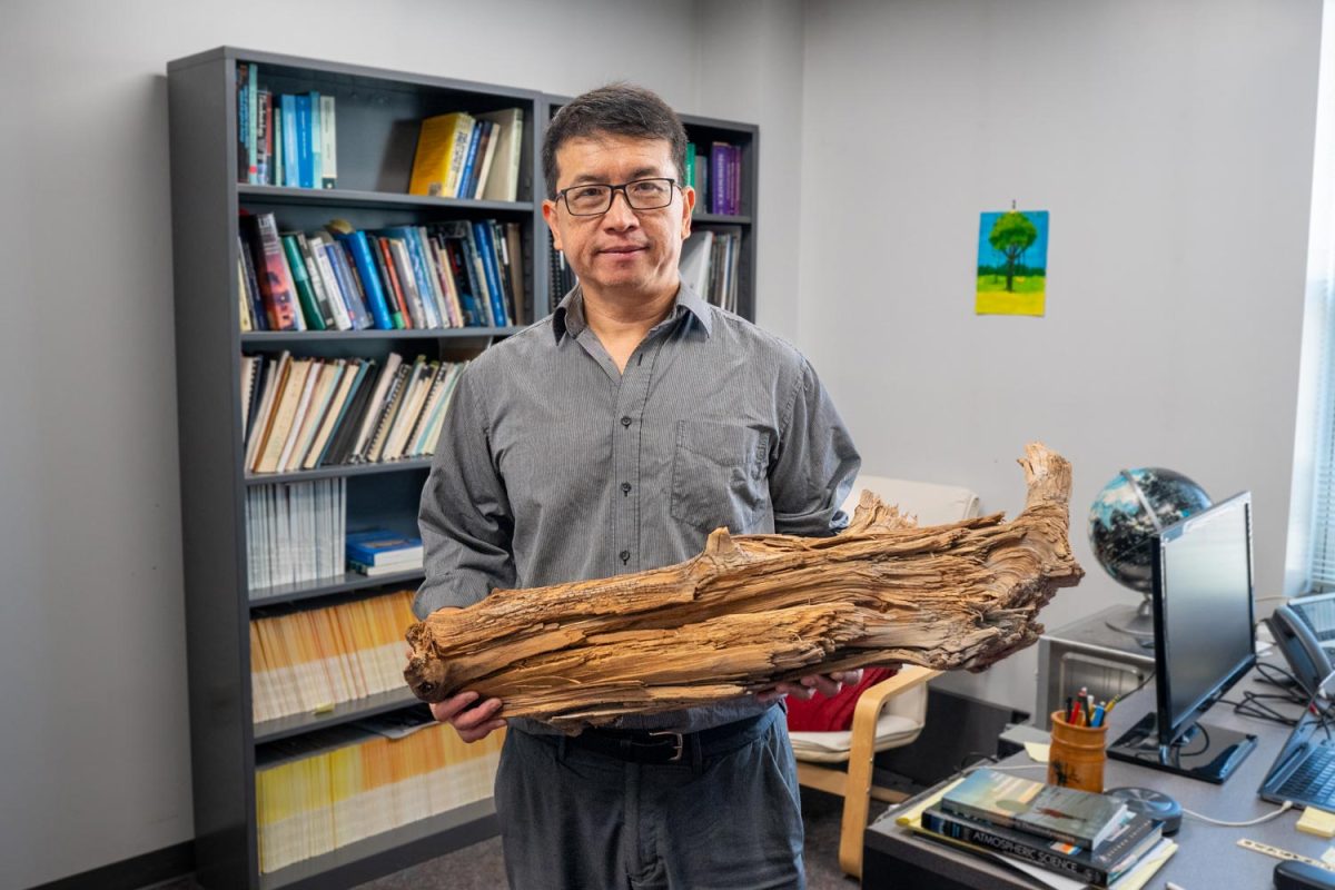 Unearthed After 3,775 Years: Ancient Wood Discovery Sparks Climate ...