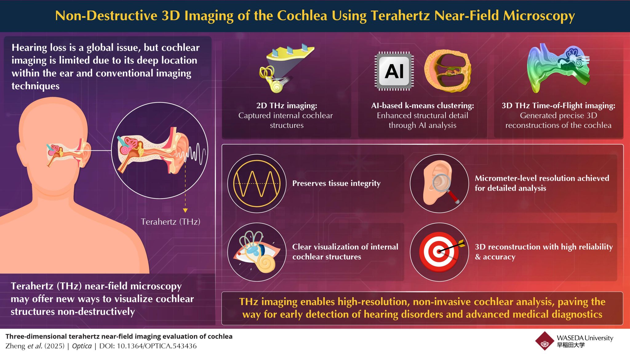 This THz Imaging Breakthrough Could Revolutionize Hearing Diagnosis