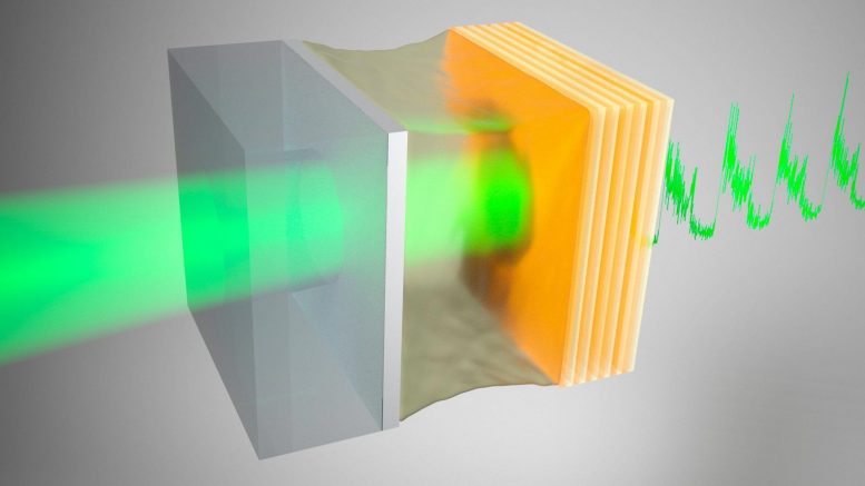 AMOLF News - SciTechDaily