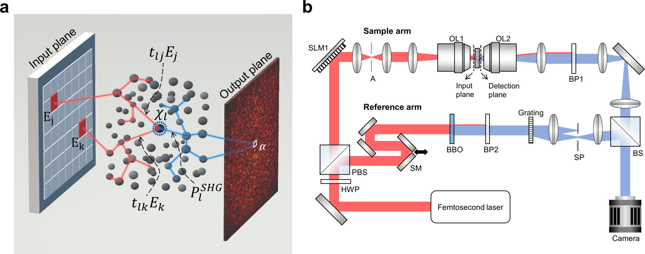 Optical Computing Breakthrough: Seeing Through the “Unseeable”