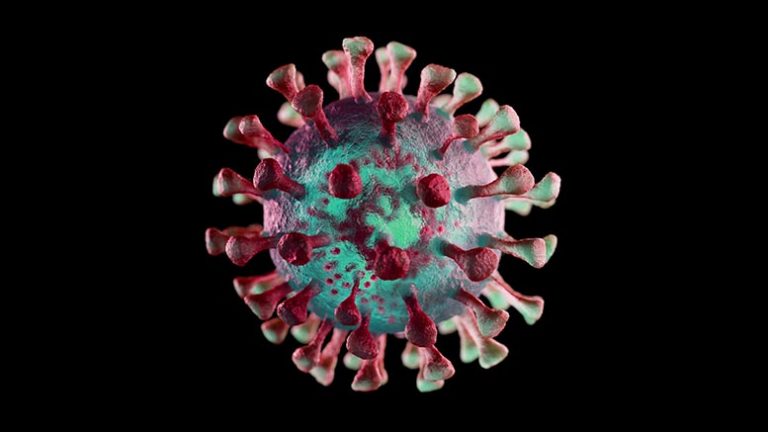 Making Sense of the Viral Multiverse: Situating Coronaviruses Within ...