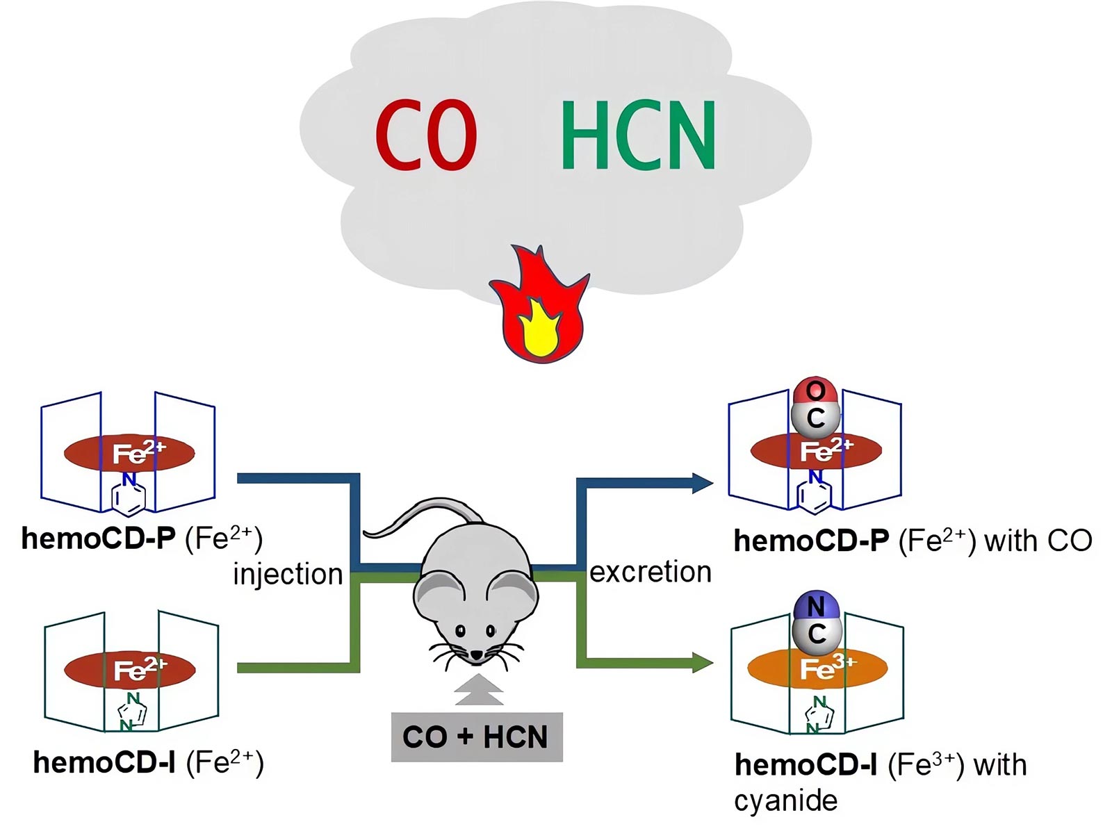 Antidote Against Fire Gas Poisoning: Overcomes Simultaneous Carbon Monoxide and Hydrogen Cyanide ...