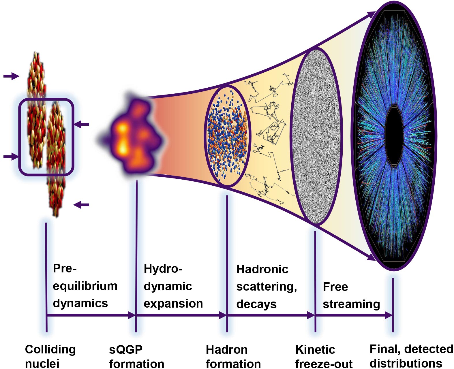 This Strange Motion Keeps Appearing Everywhere – Even in High-Energy ...