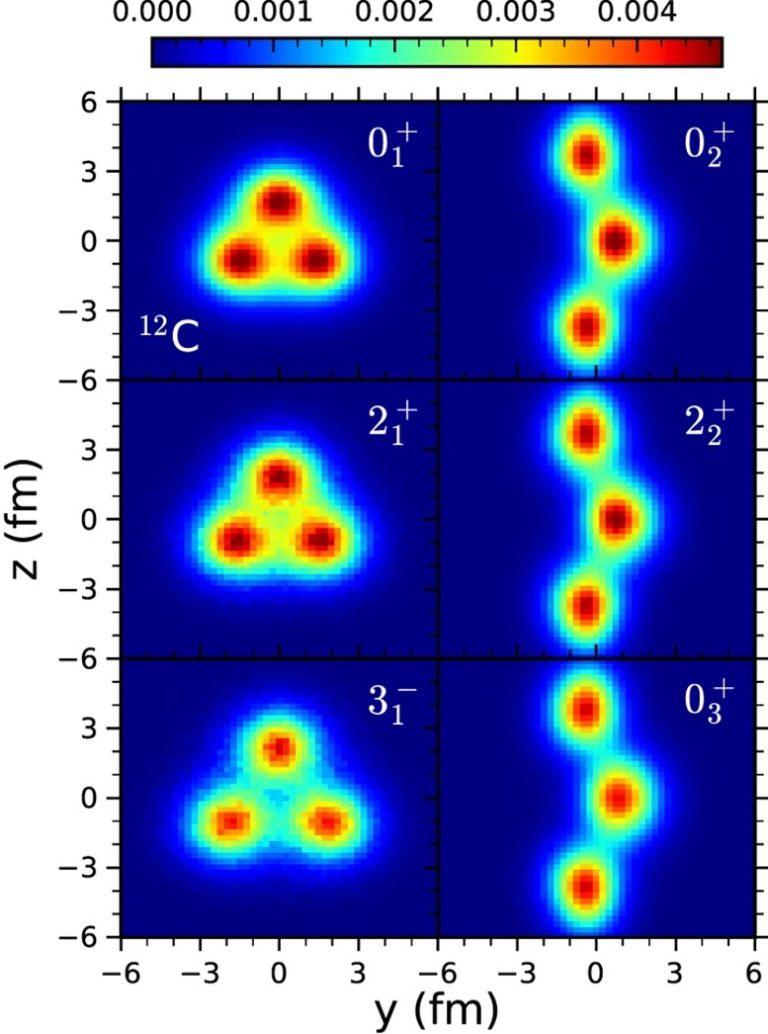 The Atomic Labyrinth: Deciphering the Carbon-12 Nucleus
