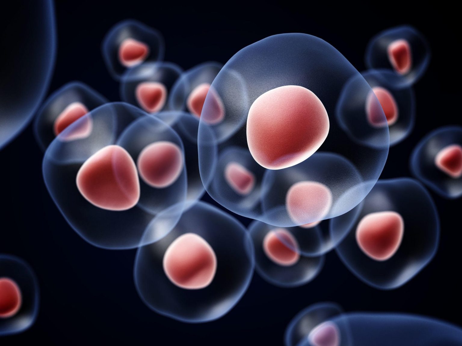 Challenging Biologists’ Understanding: New Research Suggests Cells ...