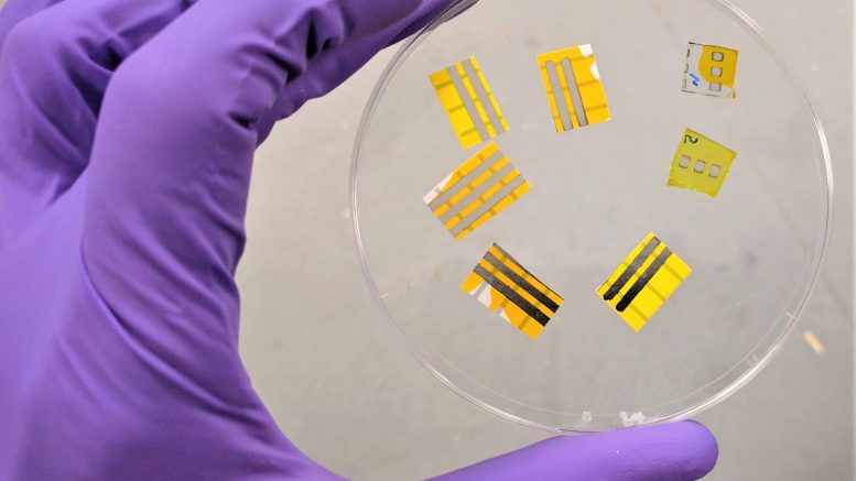 Painless Tattoos Developed – Easy, Do-It-Yourself Microneedle Patches