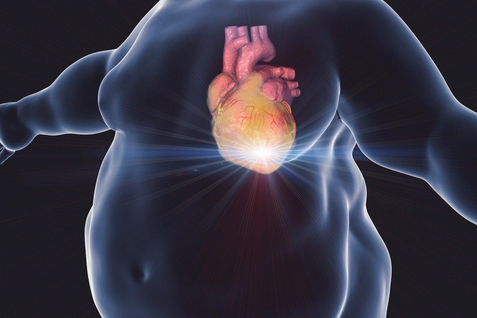 Harvard Doctors Reverse Long-Held Ideas About Fat, Diabetes, and Heart ...