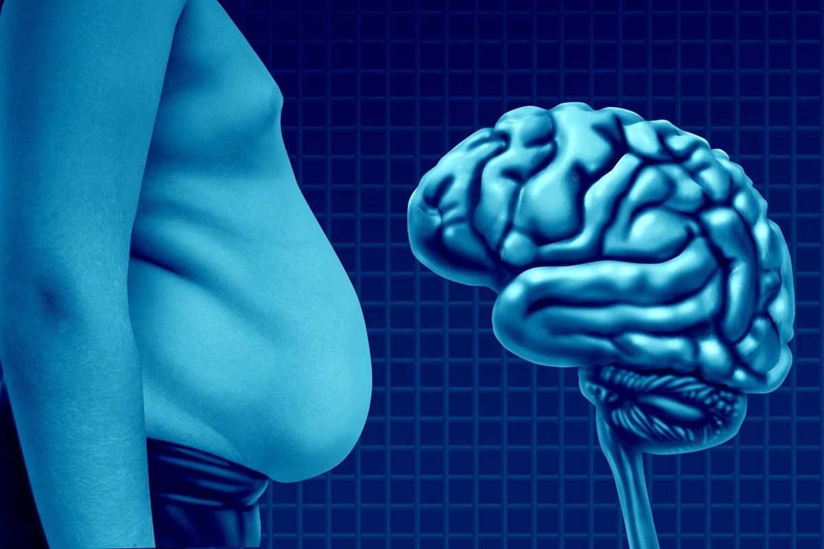 The Hidden Belly Fat That Quietly Ages Your Brain - LongevityOne