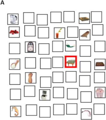 Surprising Findings: Our Memory for Objects Might Be Better Than We Think