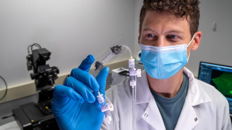 Learn Physics in Your Kitchen: Do-It-Yourself Fluid Mechanics