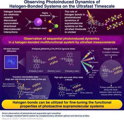 Lightning Bonds: Capturing Halogen Magic in the Blink of an Eye
