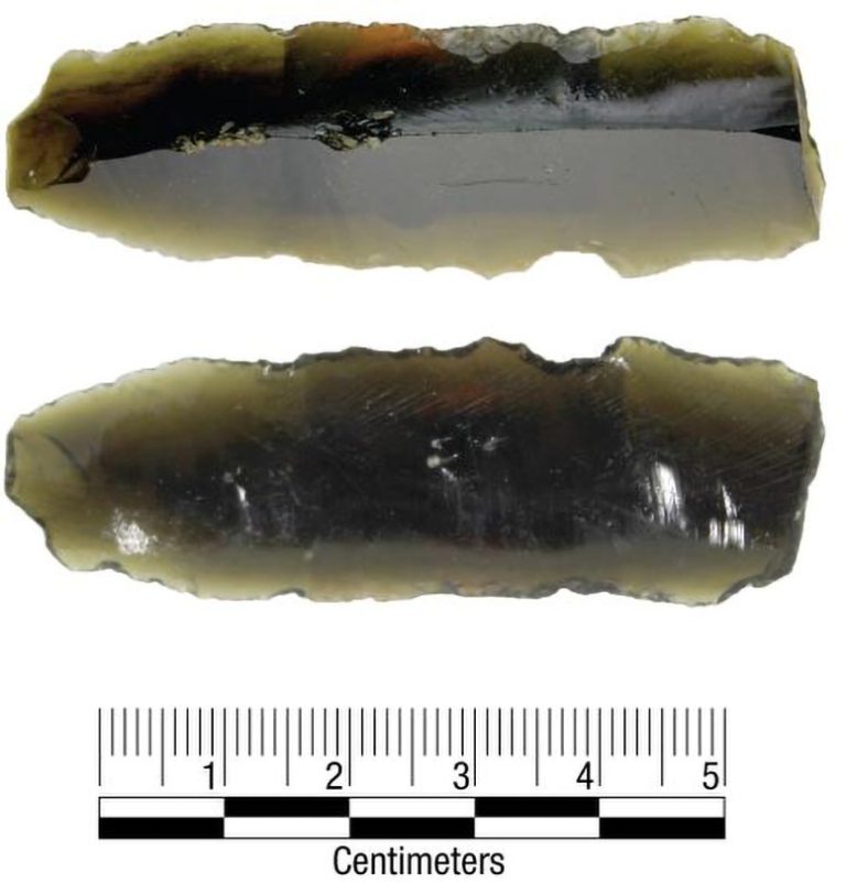 Edge of History: How an Obsidian Blade Rewrites the Trail of Conquistadors