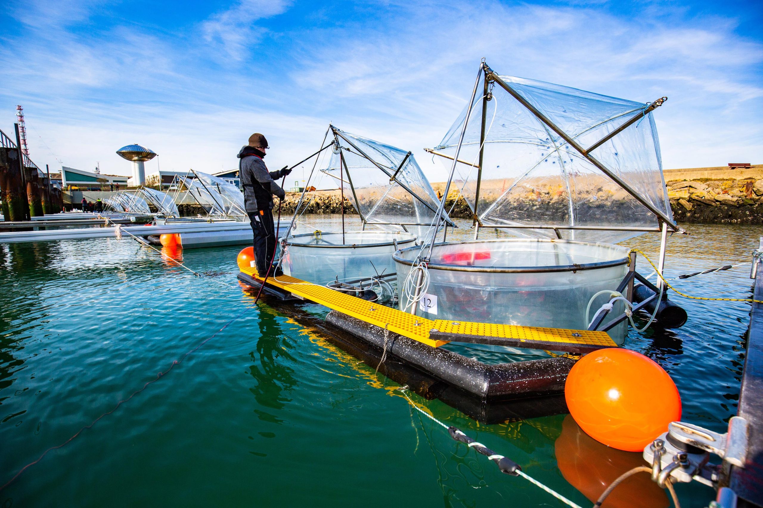 Scientists Warn Ocean Carbon Removal Could Backfire Without Better Oversight