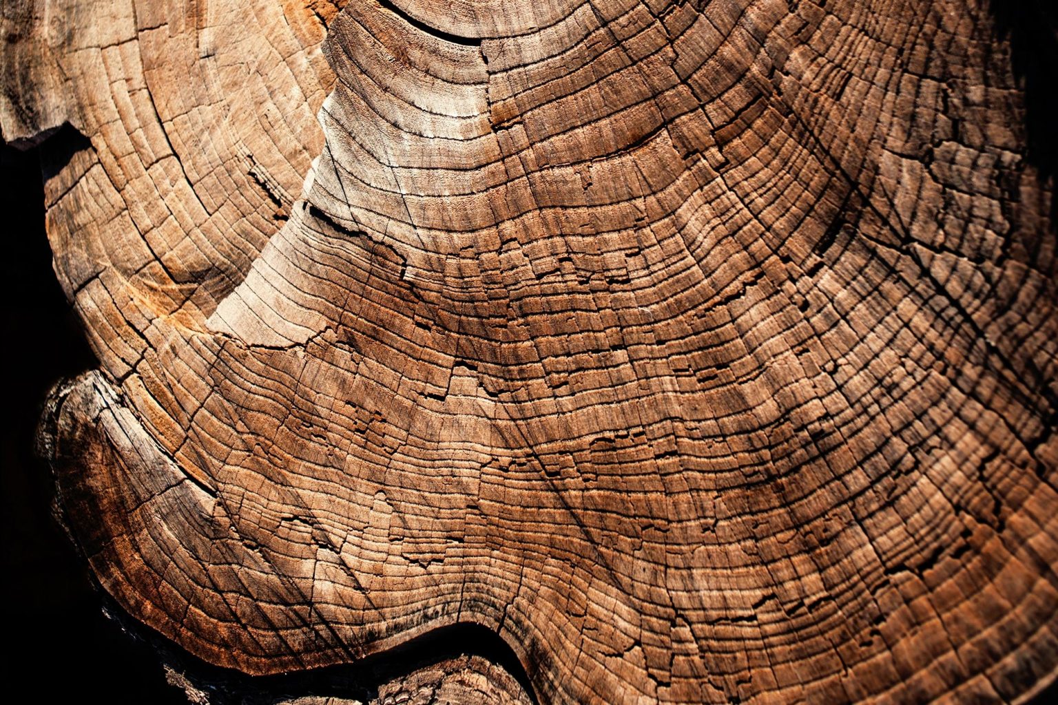 Unprecedented Central Asia Warming Confirmed by New Way of Analyzing ...