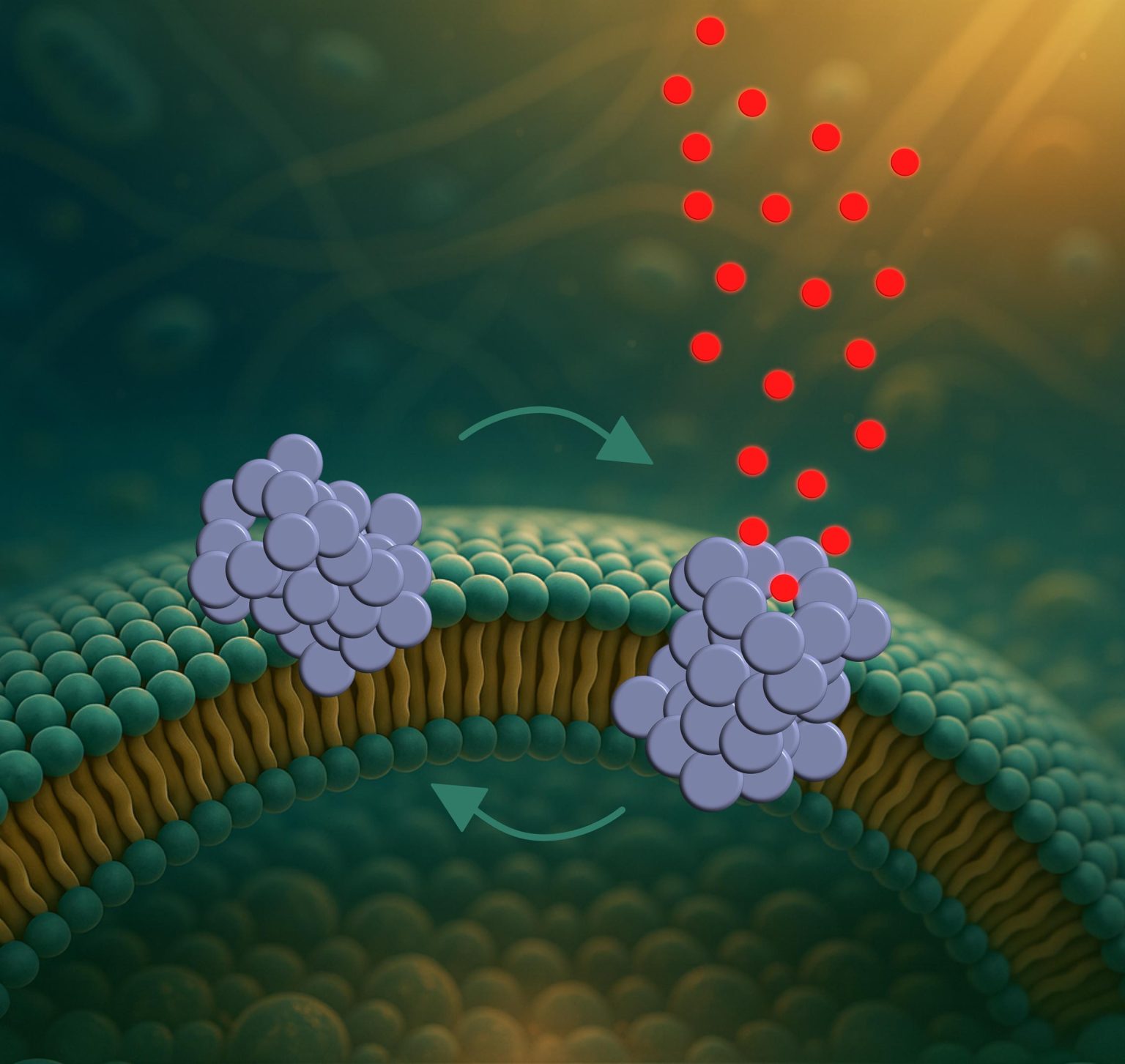 Scientists Catch Parkinson’s Protein Drilling Holes in Brain Cells