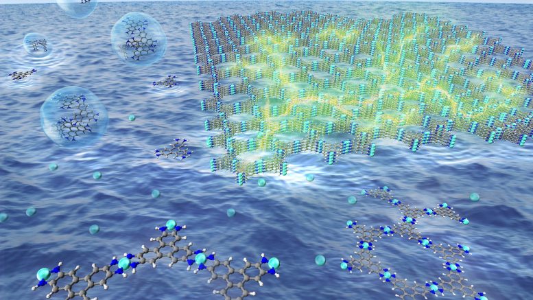 Innovative Hydrogen Boride Nanosheets: Huge Potential As Hydrogen Carrier