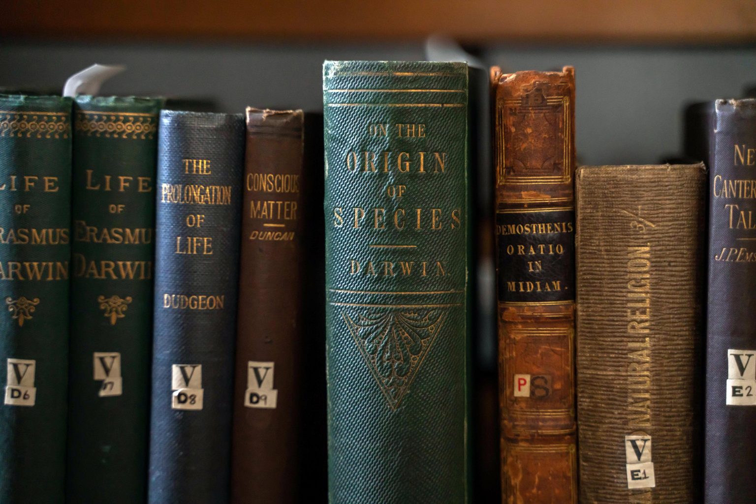 Cambridge Researcher Finally Proves One of Darwin’s Evolution Theories