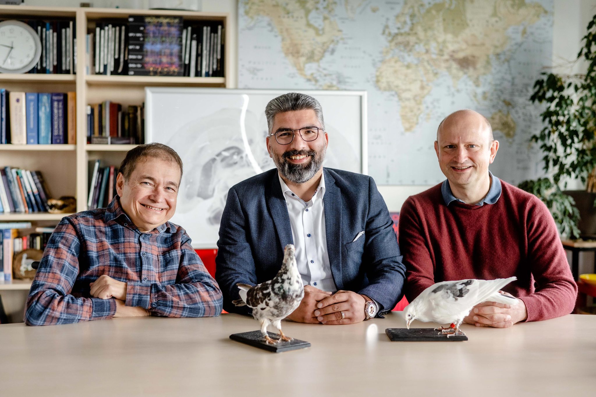 Flight of Fancy: Unraveling the Mysteries of Pigeon Dreams