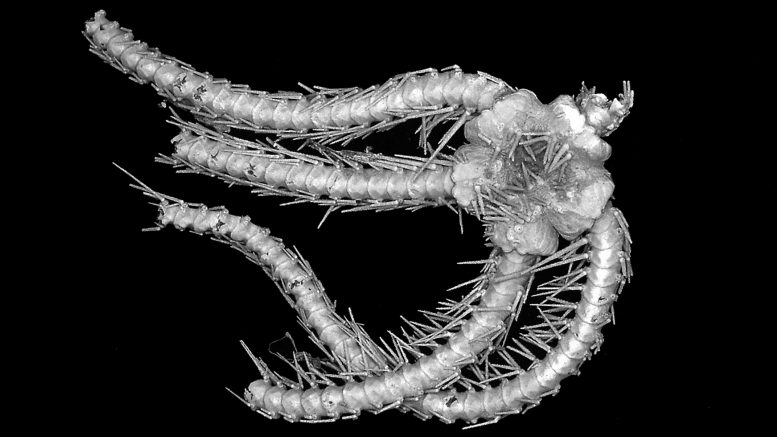 Biology News - Page 87 of 205 - SciTechDaily