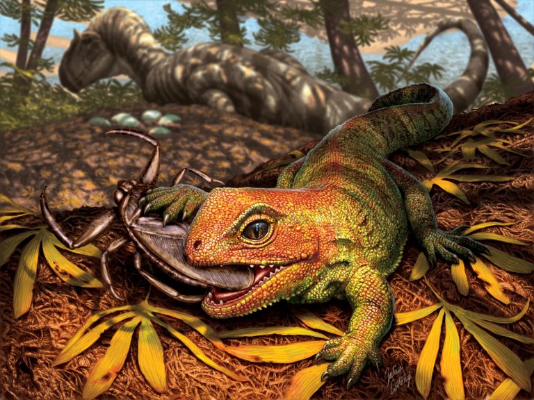 Extinct Prehistoric Reptile That Lived Among Dinosaurs Discovered by ...