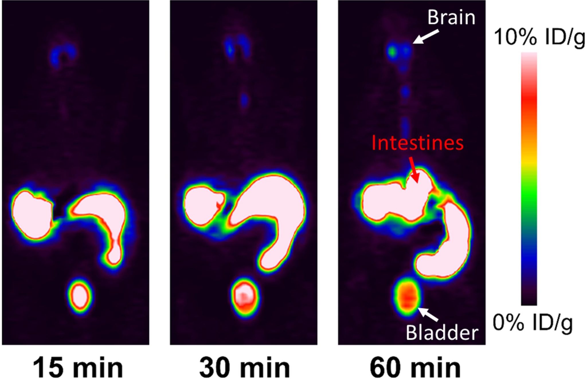 Hate Needles? Injections for Diabetes and Cancer Could Become Unnecessary