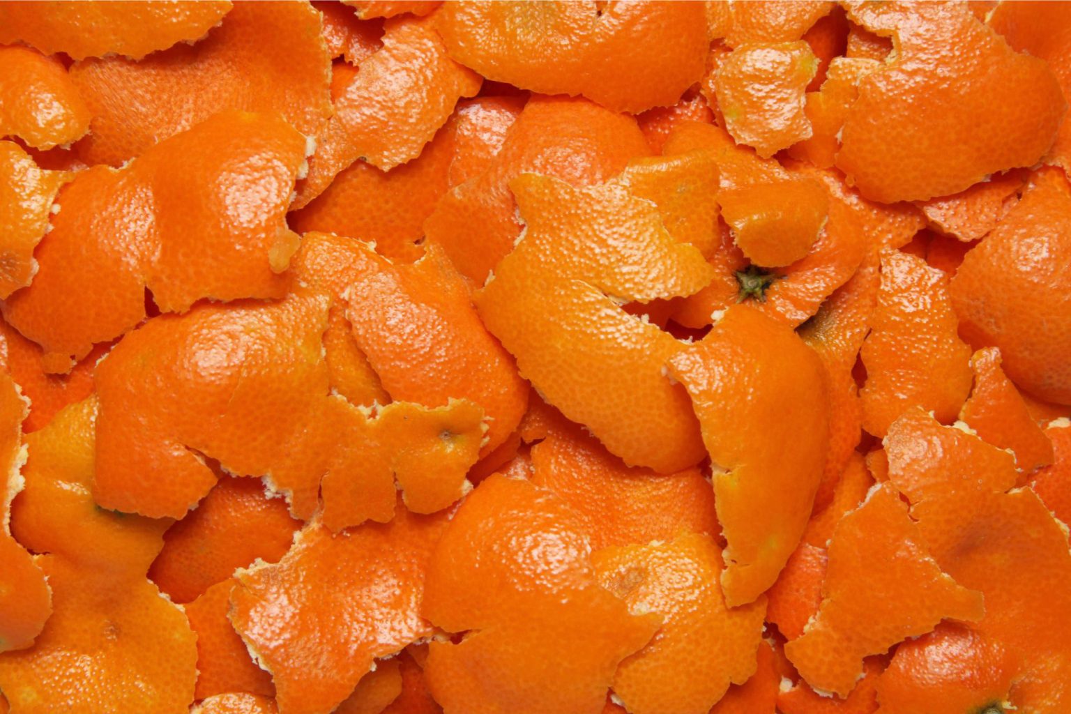 New Research Reveals That Adding Orange Peels to Your Diet Could ...