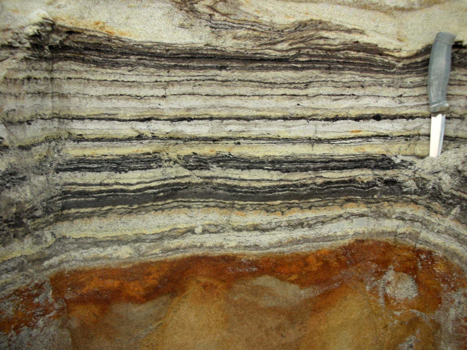 “Game-Changing” Discovery of World’s Oldest DNA Breaks Record by One ...