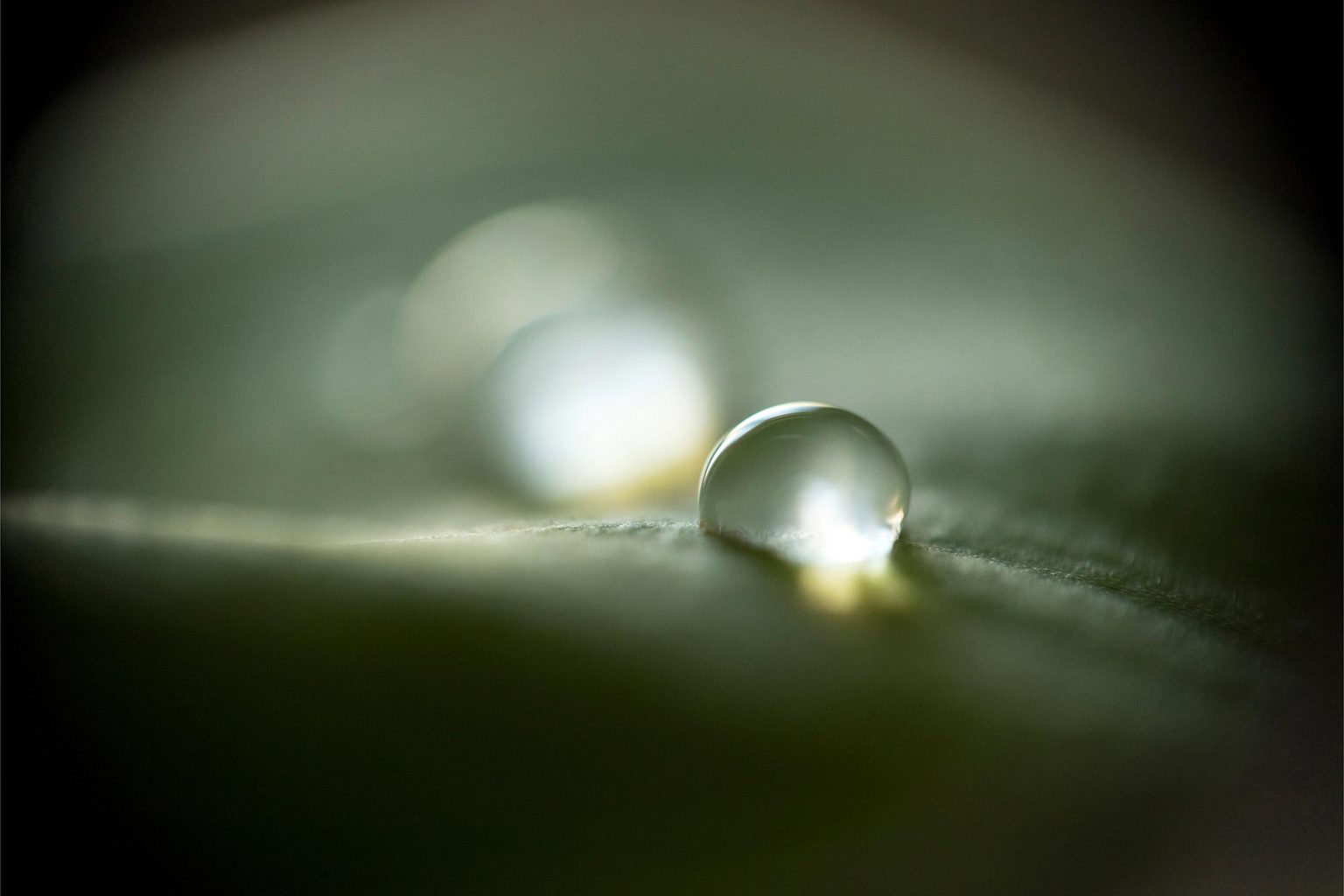 The Cosmic Soup Theory: Could Alien Life Start the Same Way As Earth?