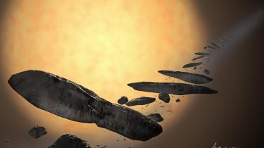 Implications of the First Observed Interstellar Object ‘Oumuamua