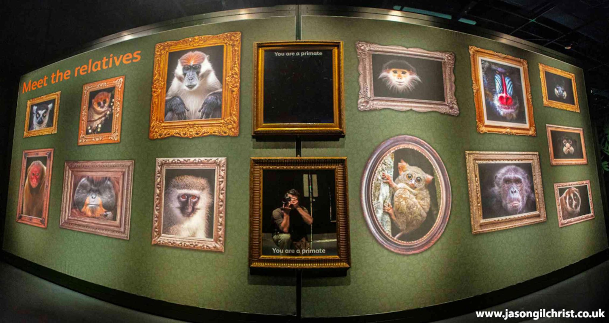 New Study Shatters Long-Standing Myths About Primate Origins