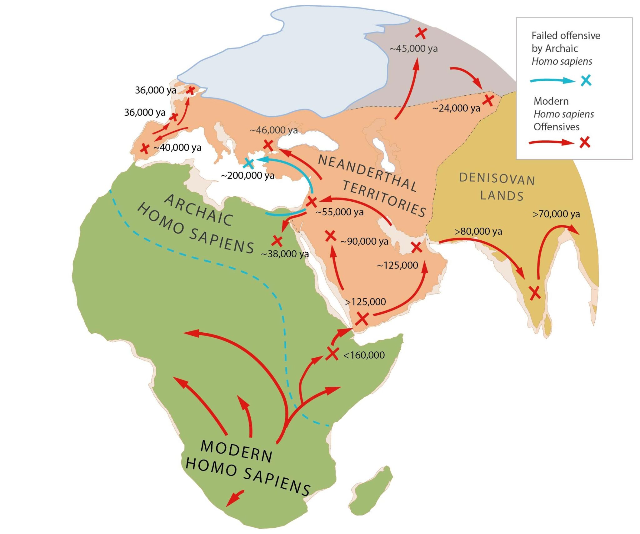 War in the Time of Neanderthals: How Our Species Battled for Supremacy ...
