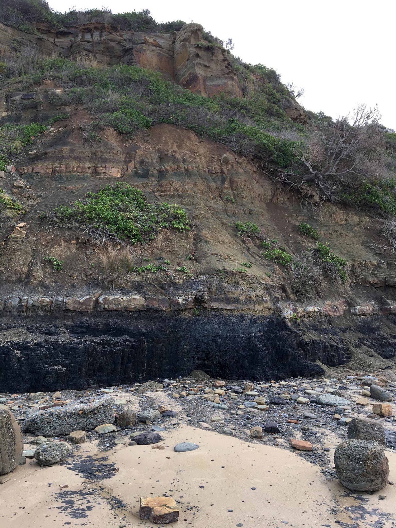 The “Great Dying” – Rapid Warming Contributed to Abrupt Collapse of ...