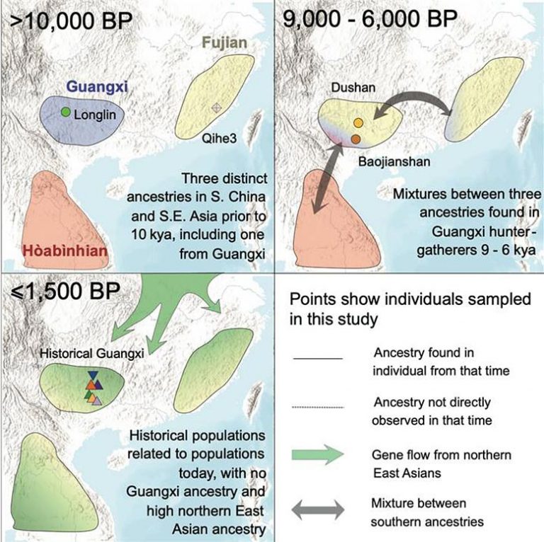 Analysis of Ancient Genetics Unveils a Missing Piece of Human Prehistory