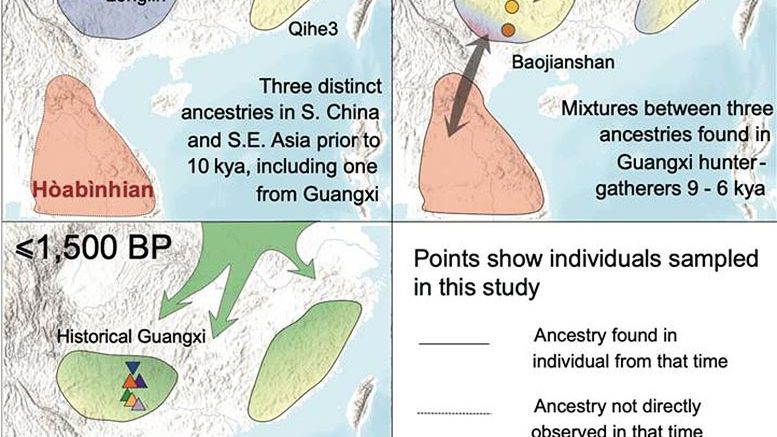Philippine Negrito People Have the Highest Level of Ancient Denisovan ...