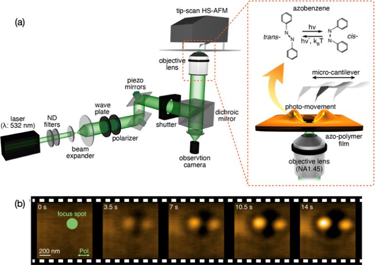 Scientists Catch Light-Driven Polymers in the Act