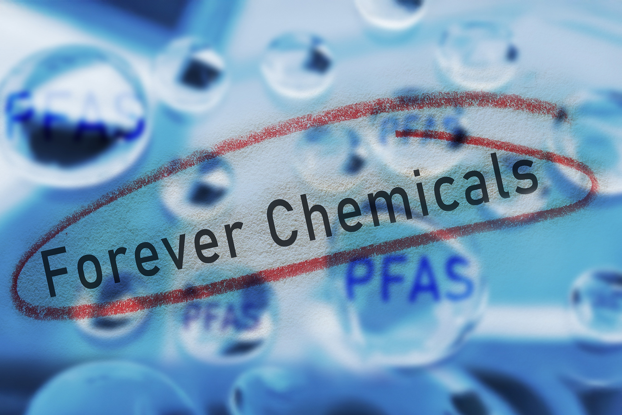 Brown Rice, Eggs, and More: Scientists Warn Popular Foods Could Be ...