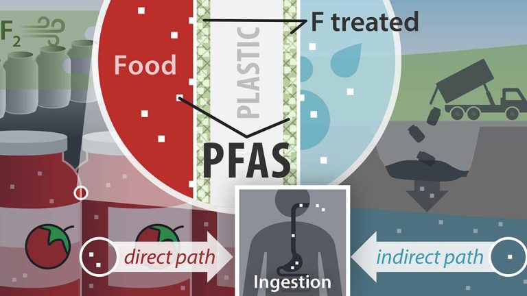 Plastic Containers Can Contain Toxic “Forever Chemicals” – And They Are ...