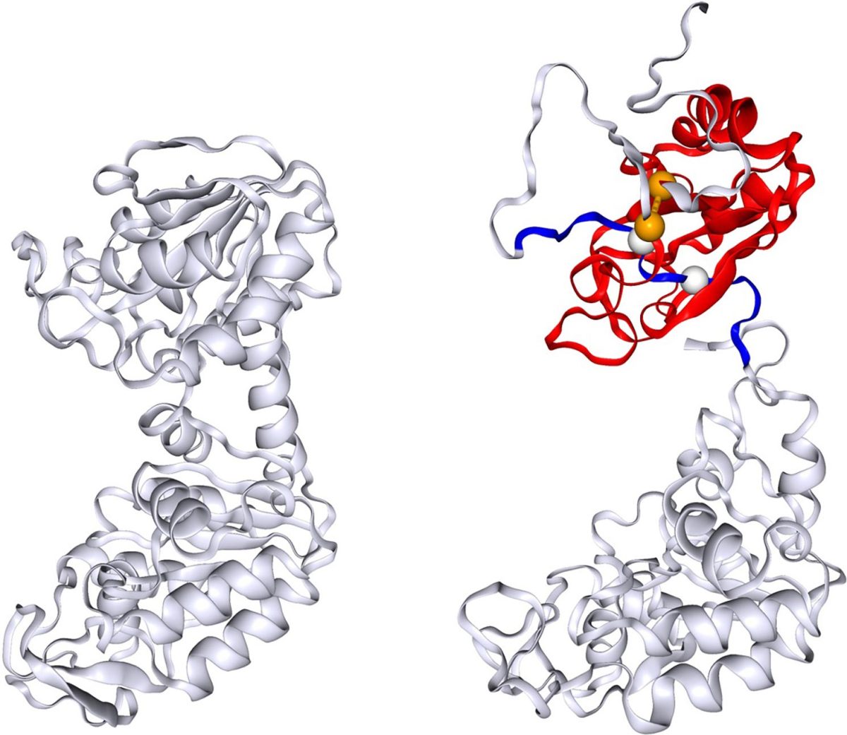 A 25-Year Mystery Solved: Scientists Discover Why Some Proteins Fold ...