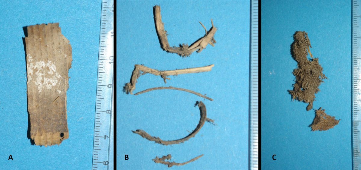 Researchers Discover “Unusually Well-Preserved” Mummy in Church Crypt