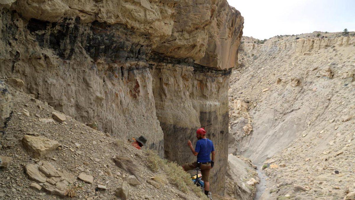 The Great Dinosaur Deception: Fossil Gaps Rewrite Extinction History