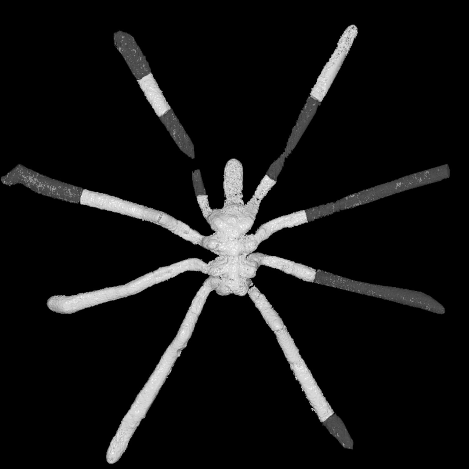 Scientists Discover That Extremely Rare Collection of 160-Million-Year ...