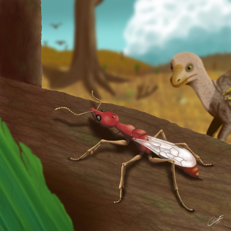 Scientists Discover Bizarre 113-Million-Year-Old Hell Ant With Killer ...